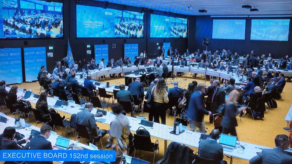 ICN intervenes on key healthcare issues at the 152nd session of the World Health Organization’s ...